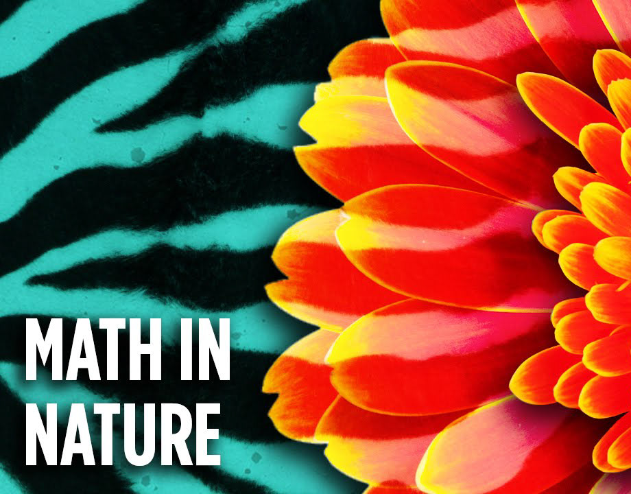 Portfolio - Nikhil Gala - Blog