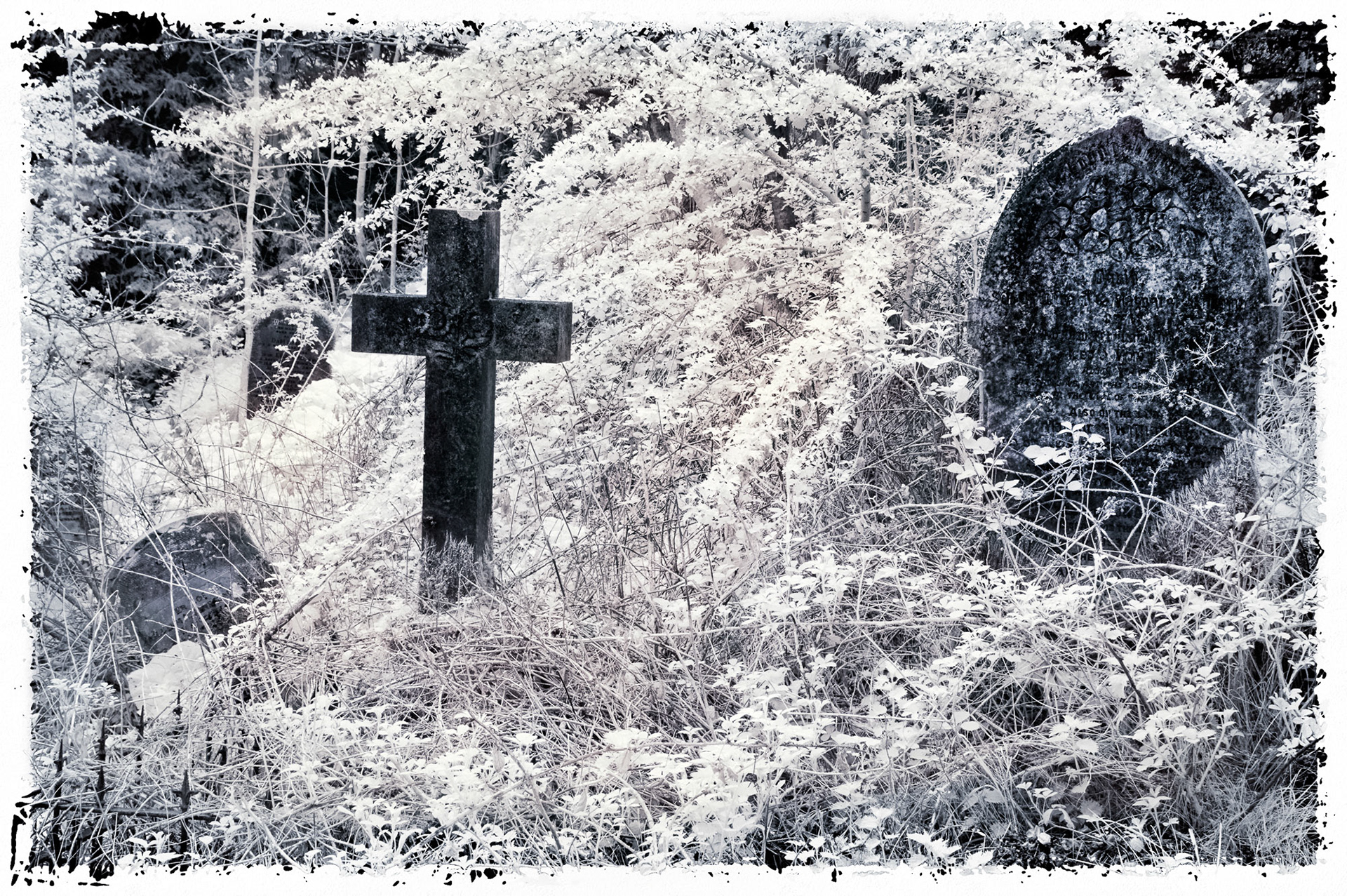 Clive Haynes - The Fortified Land (www.crhfoto.co.uk) - Grave ...