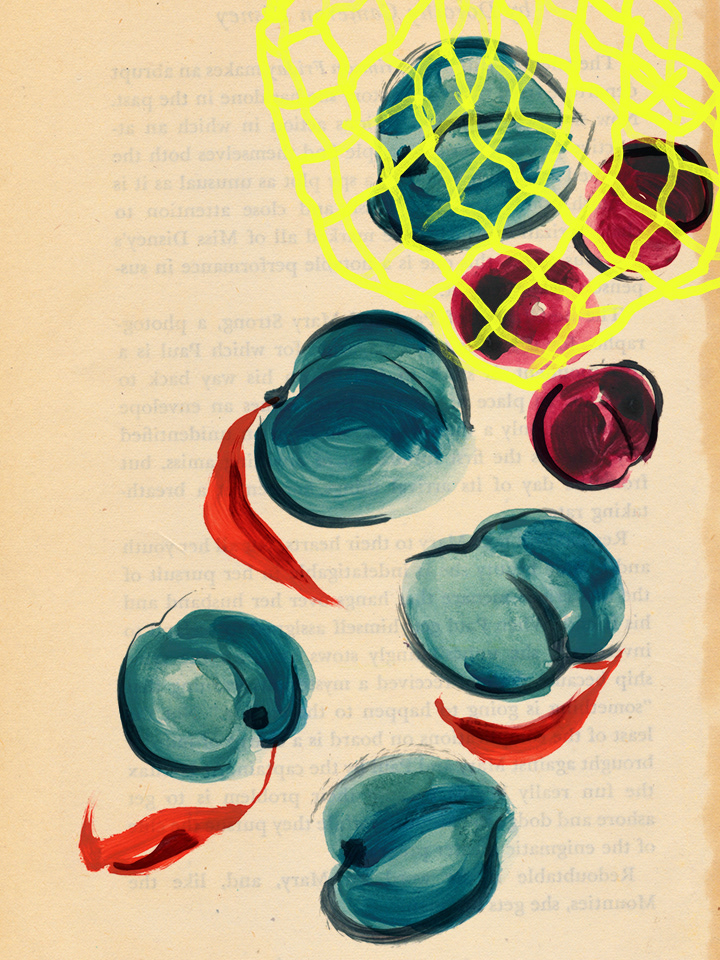 Jamie Runnells | Food Illustrator