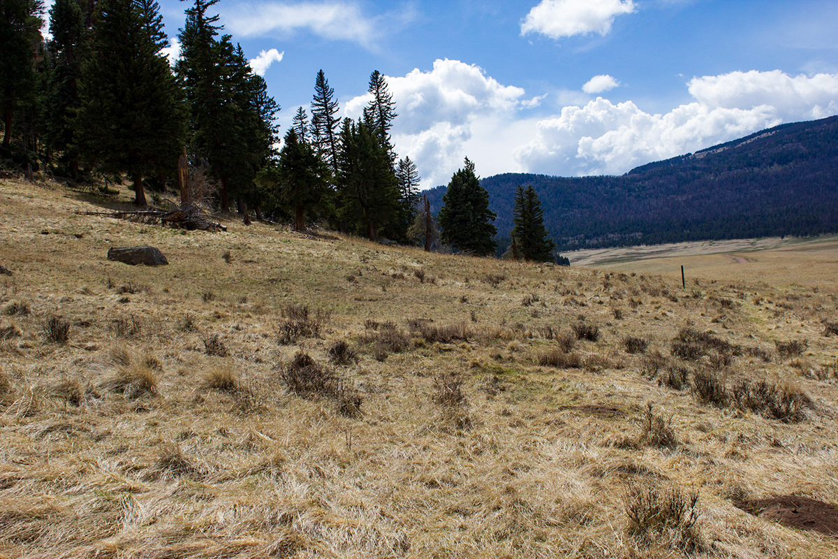Our NPS Travels - Valles Caldera National Preserve
