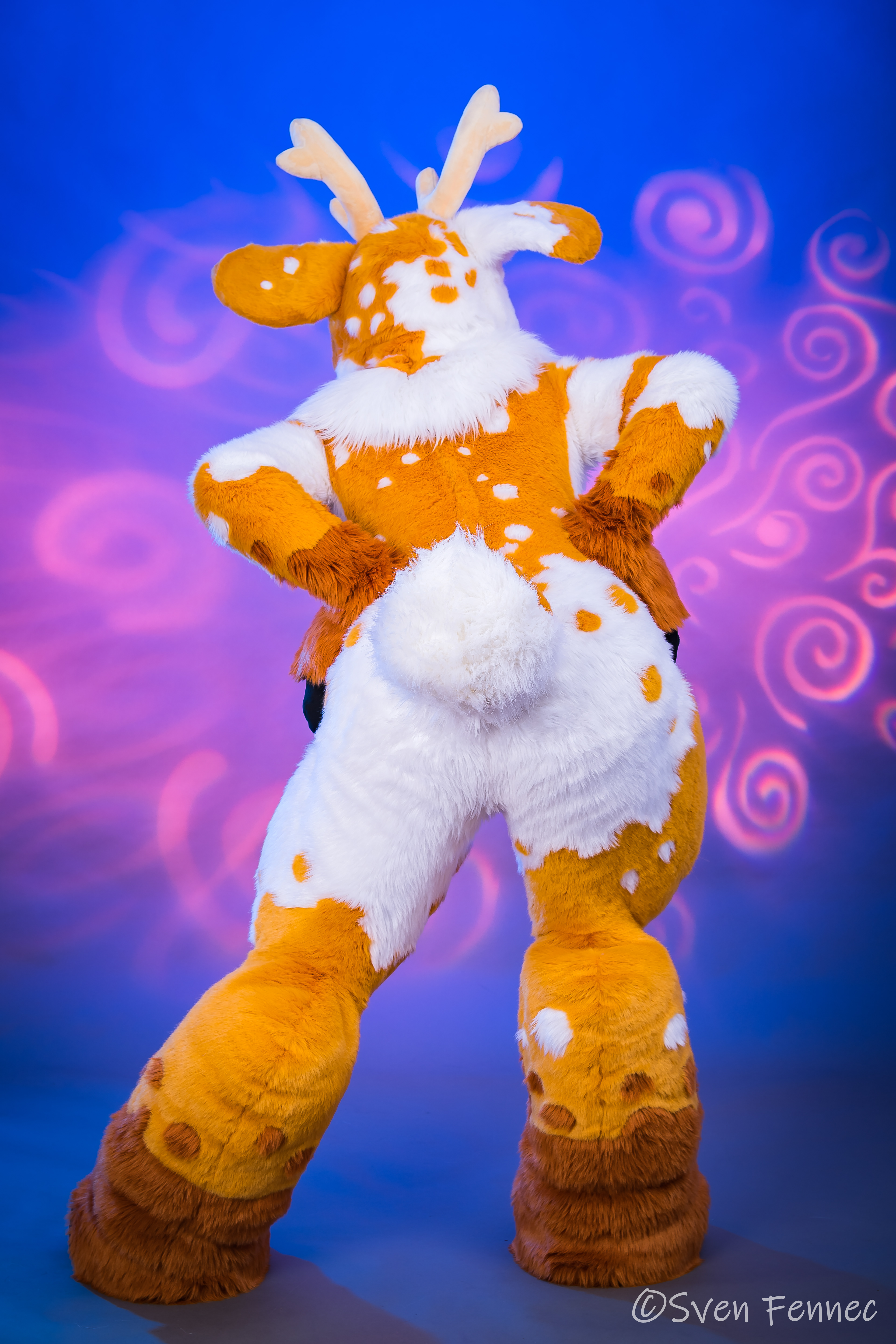 Sven Fennec Photography - 2018-2020 Studio Fursuit Portraits