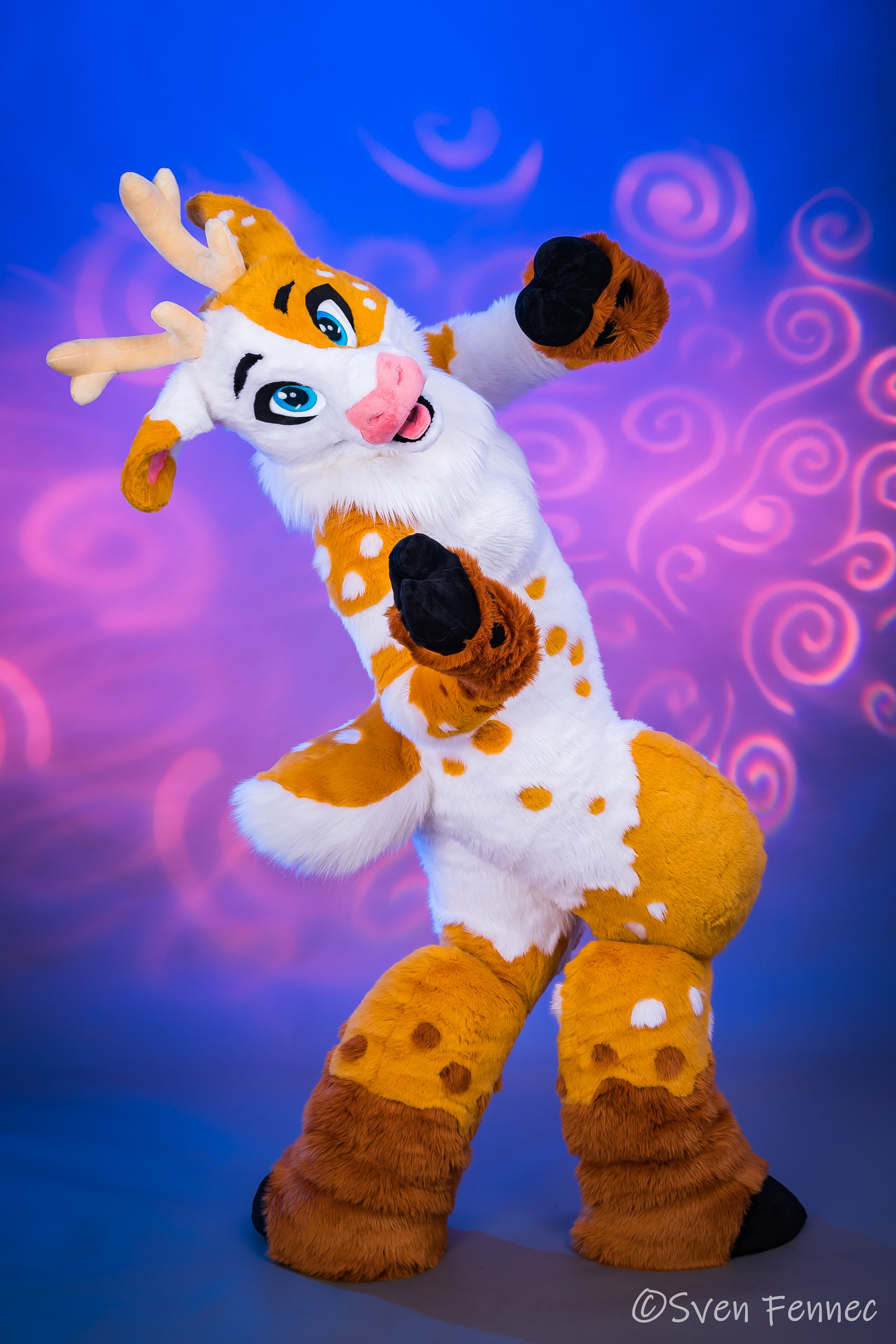 Sven Fennec Photography - 2018-2020 Studio Fursuit Portraits