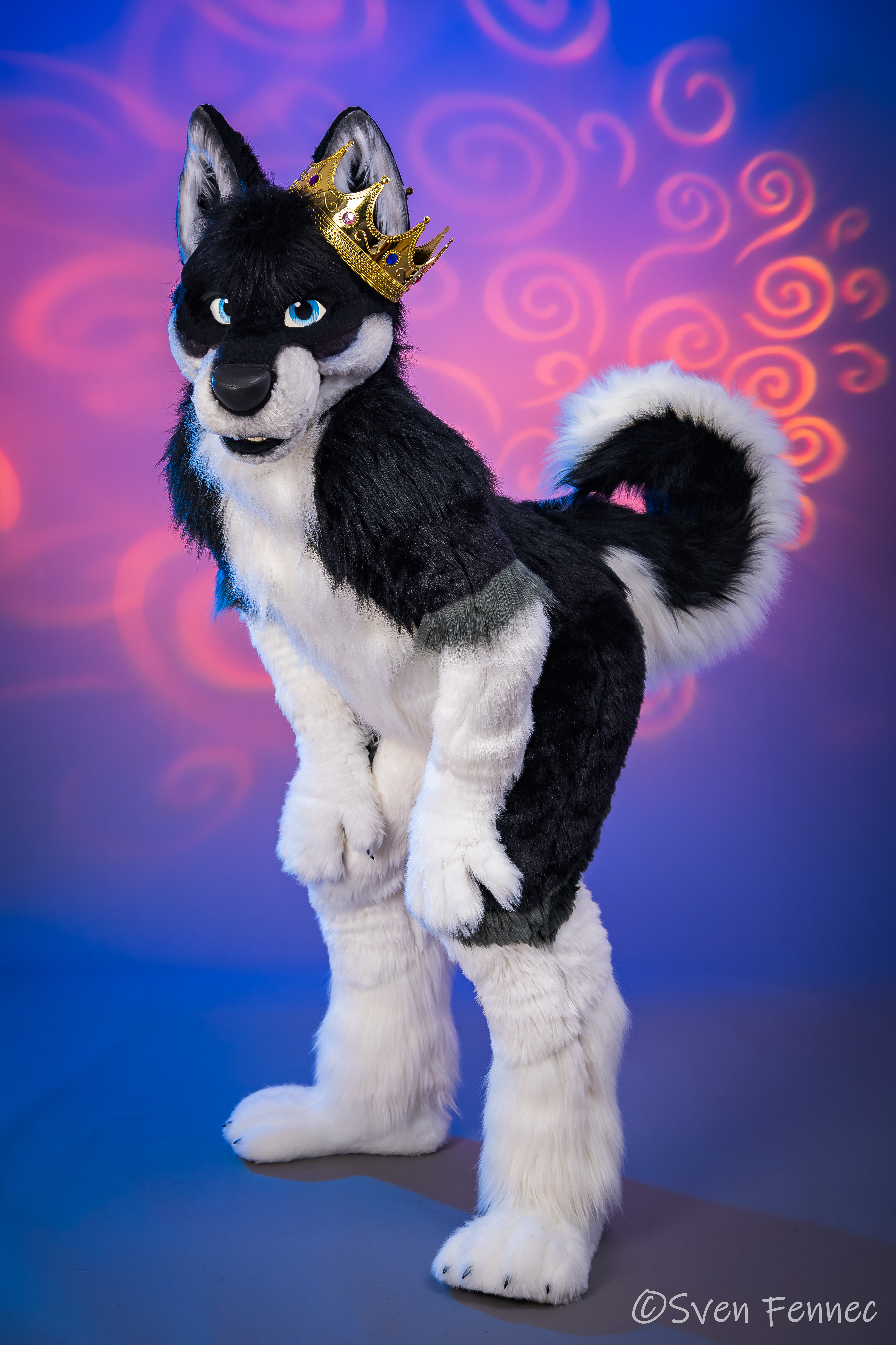 Sven Fennec Photography - 2018-2020 Studio Fursuit Portraits