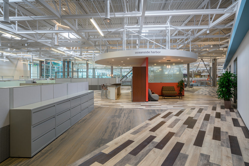 Brand Imagination Petco New Corporate Headquarters Experience brand-imagination-petco-new-corporate-headquarters-experience