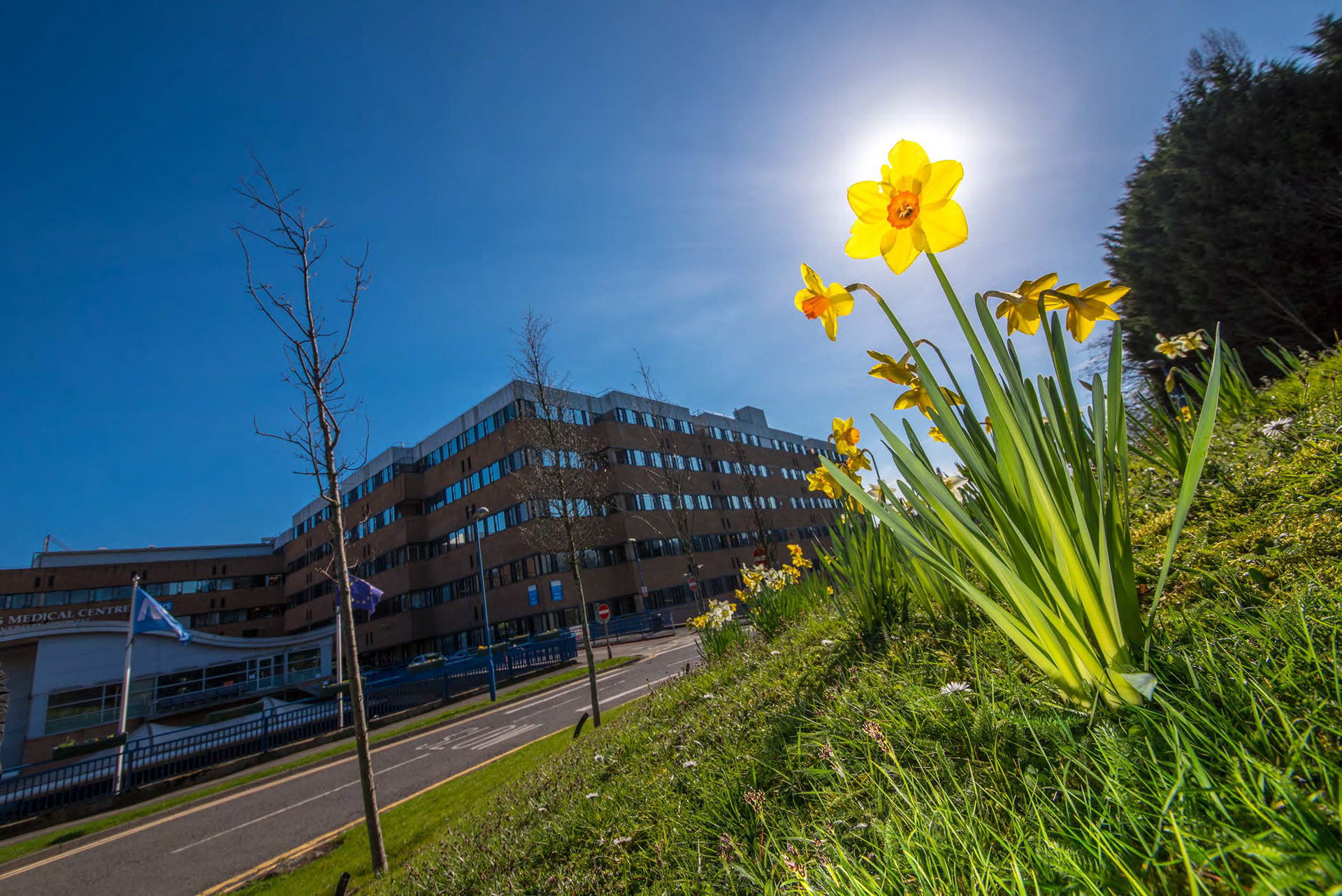 Neal Hughes - NUH exteriors