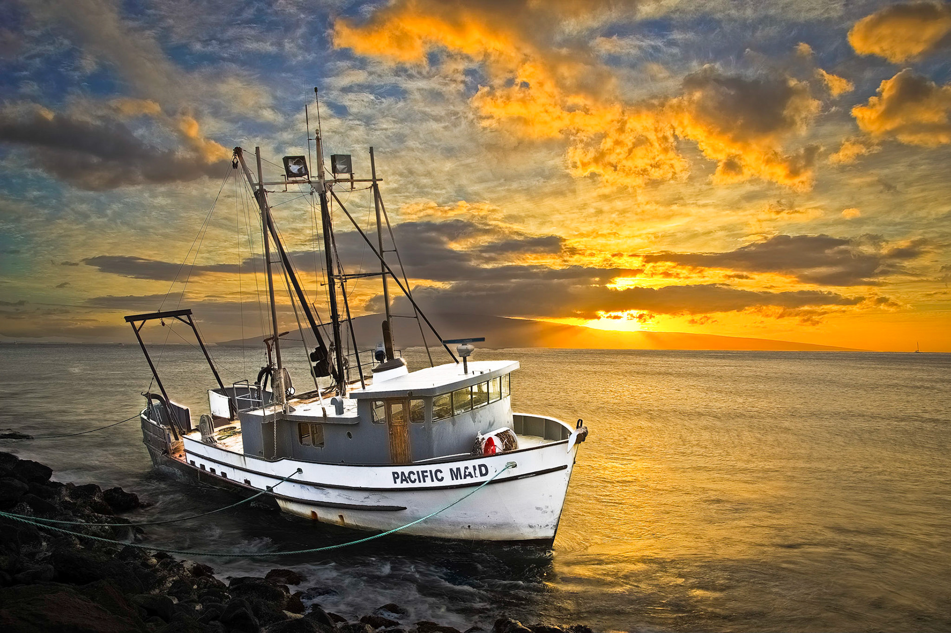 Doug Kaye Photography - Portfolio (A Bit of Everything)