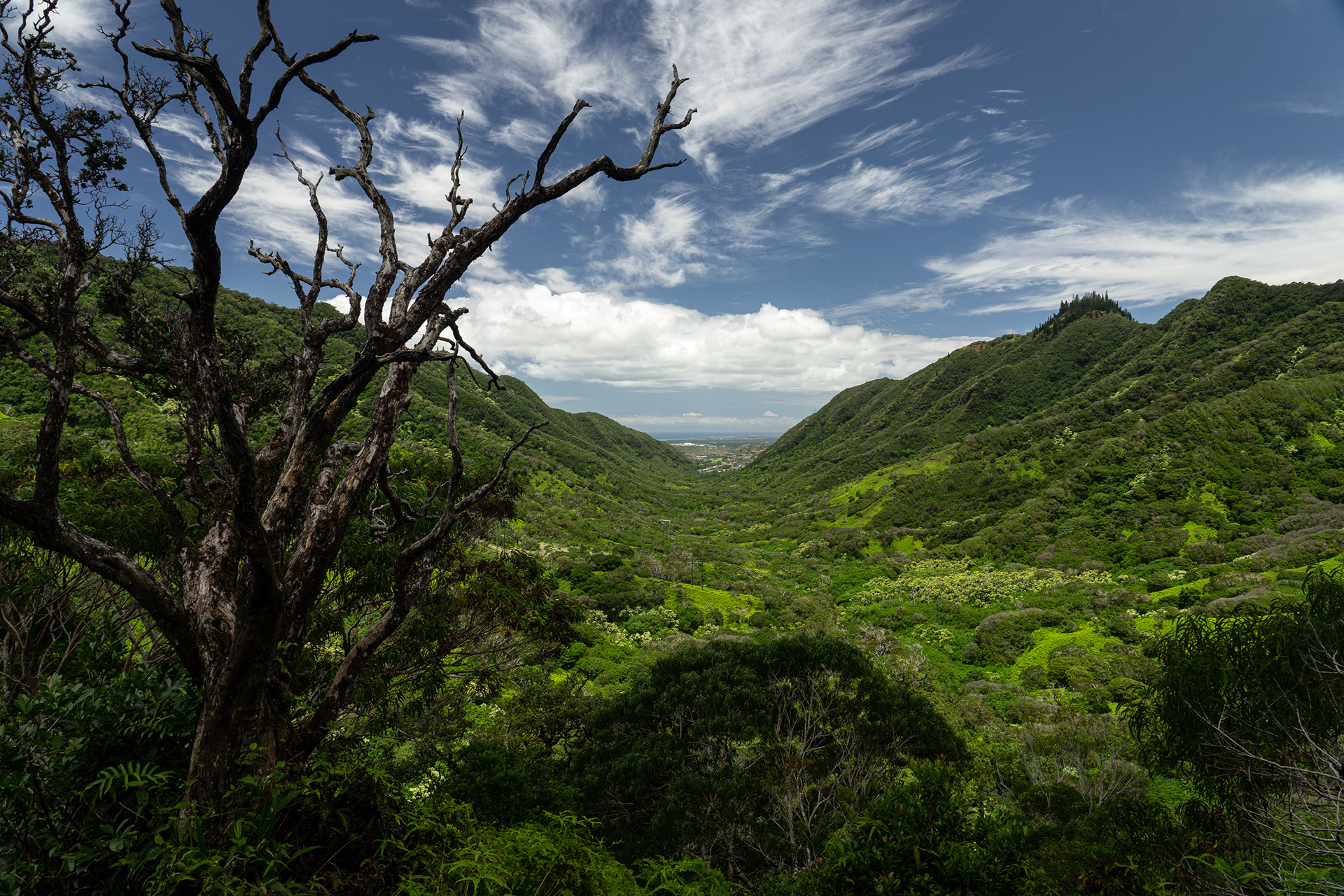 Kai Troester - Haiku Stairs, Oahu