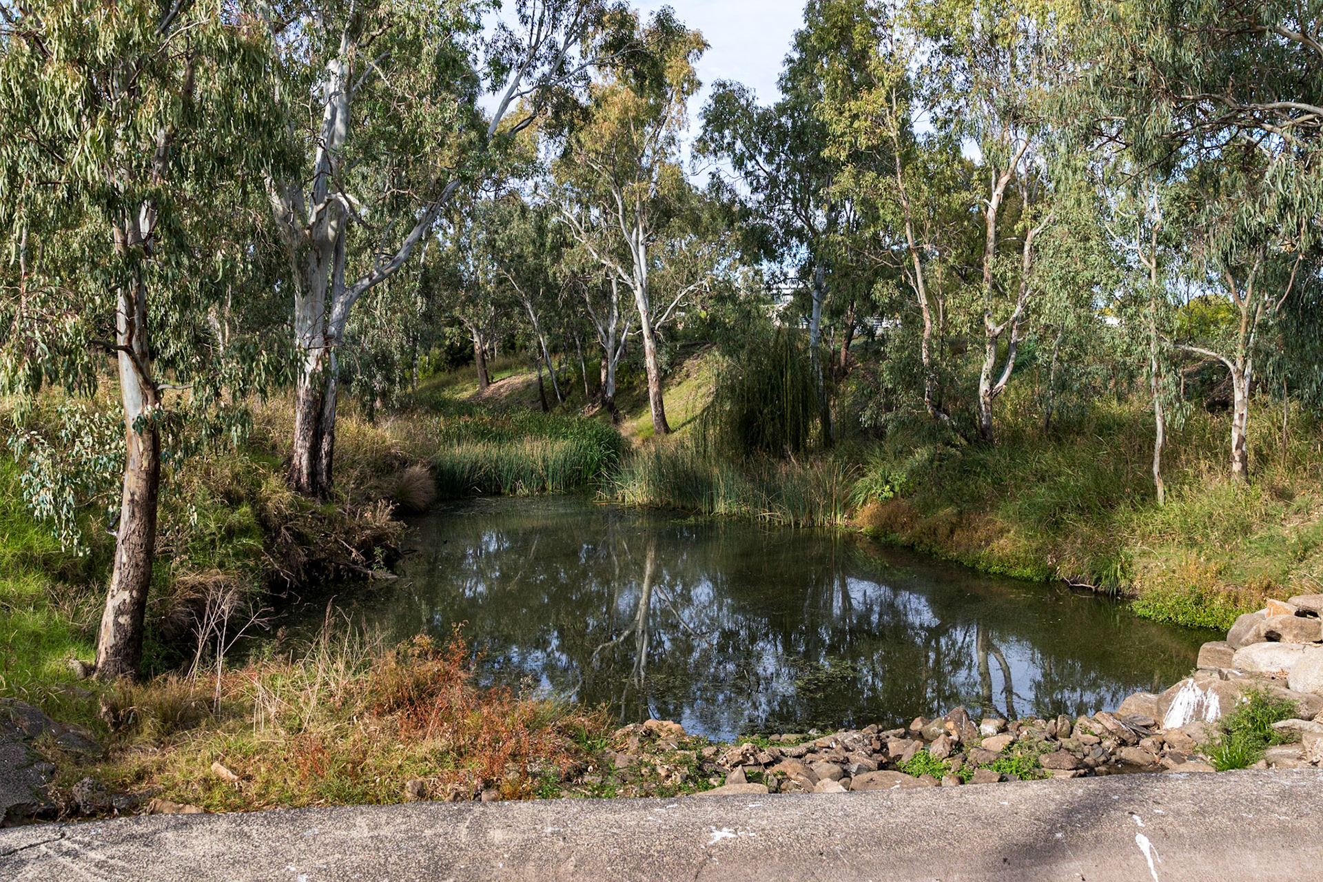 Trevor Martin - Landscapes