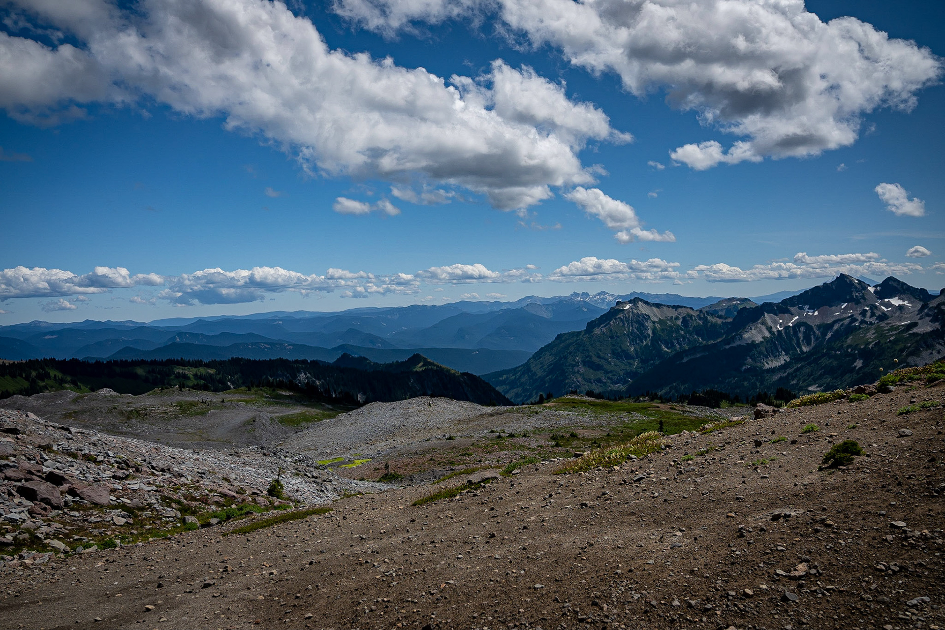 John Zea - Seattle 2019