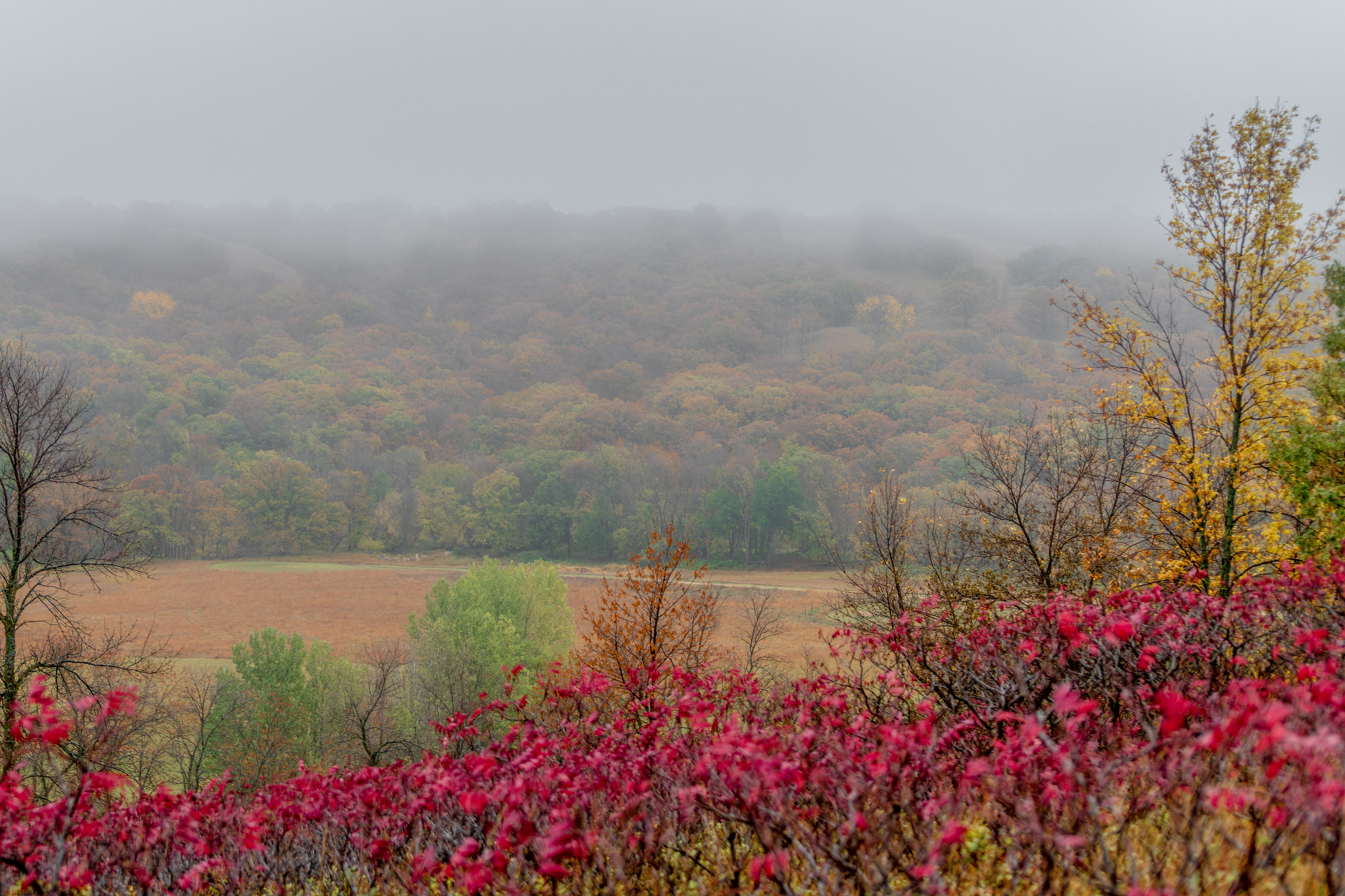 Ryan Westerberg - Life on the Plains