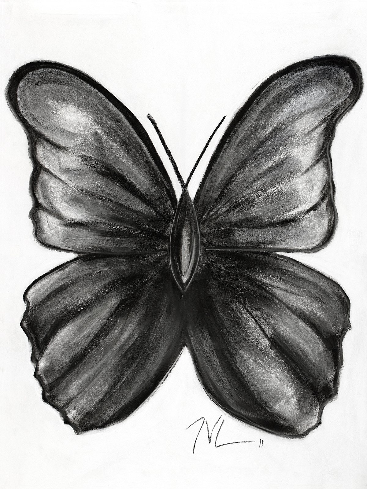 TVLart by Tanya Little Palmer - Charcoal Drawings