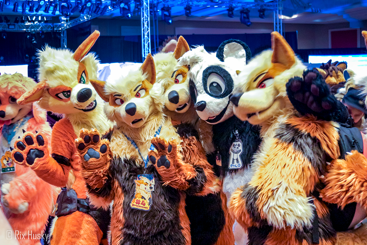 Rix Husky Photography - Midwest FurFest 2019