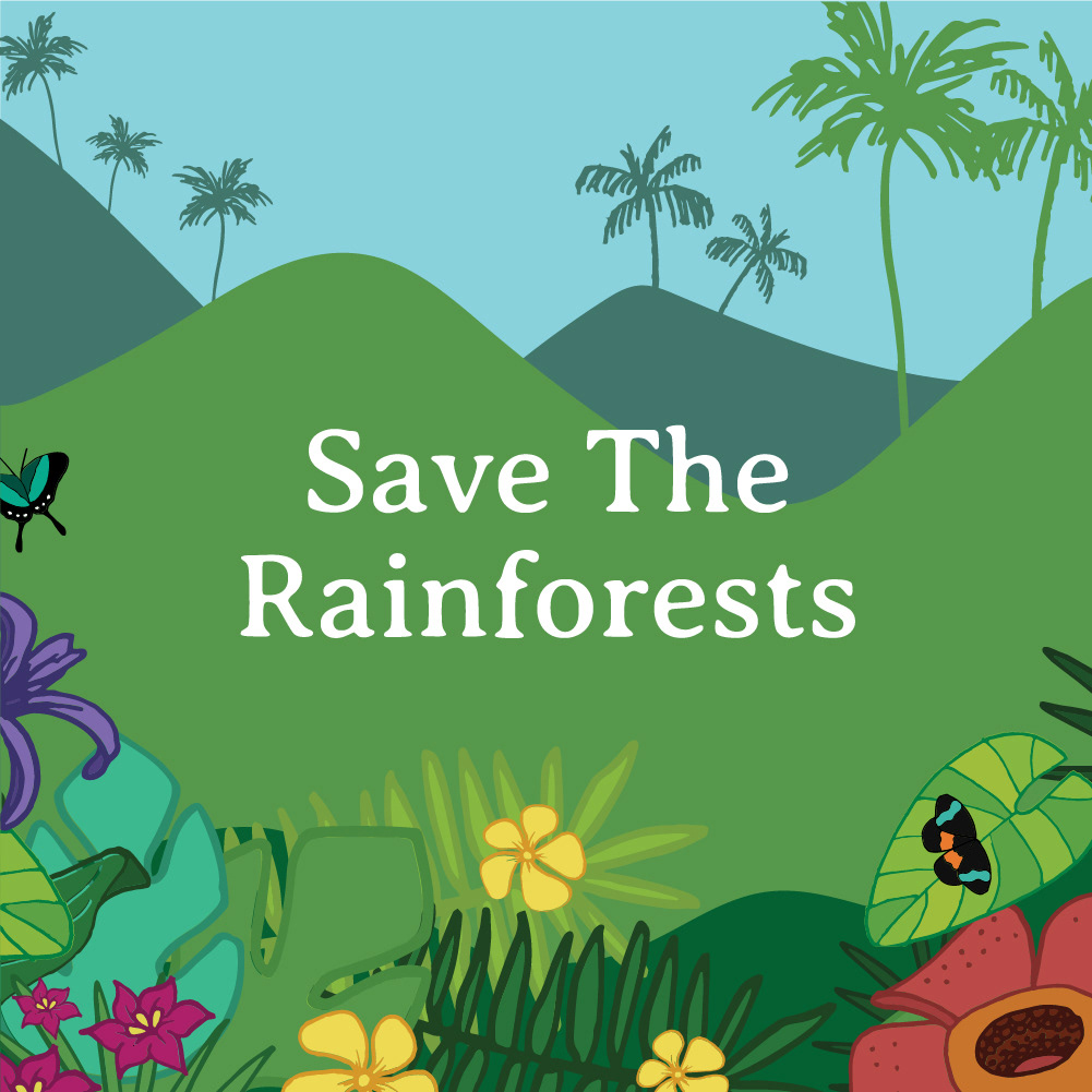 Paulina Costello - Save The Rainforests