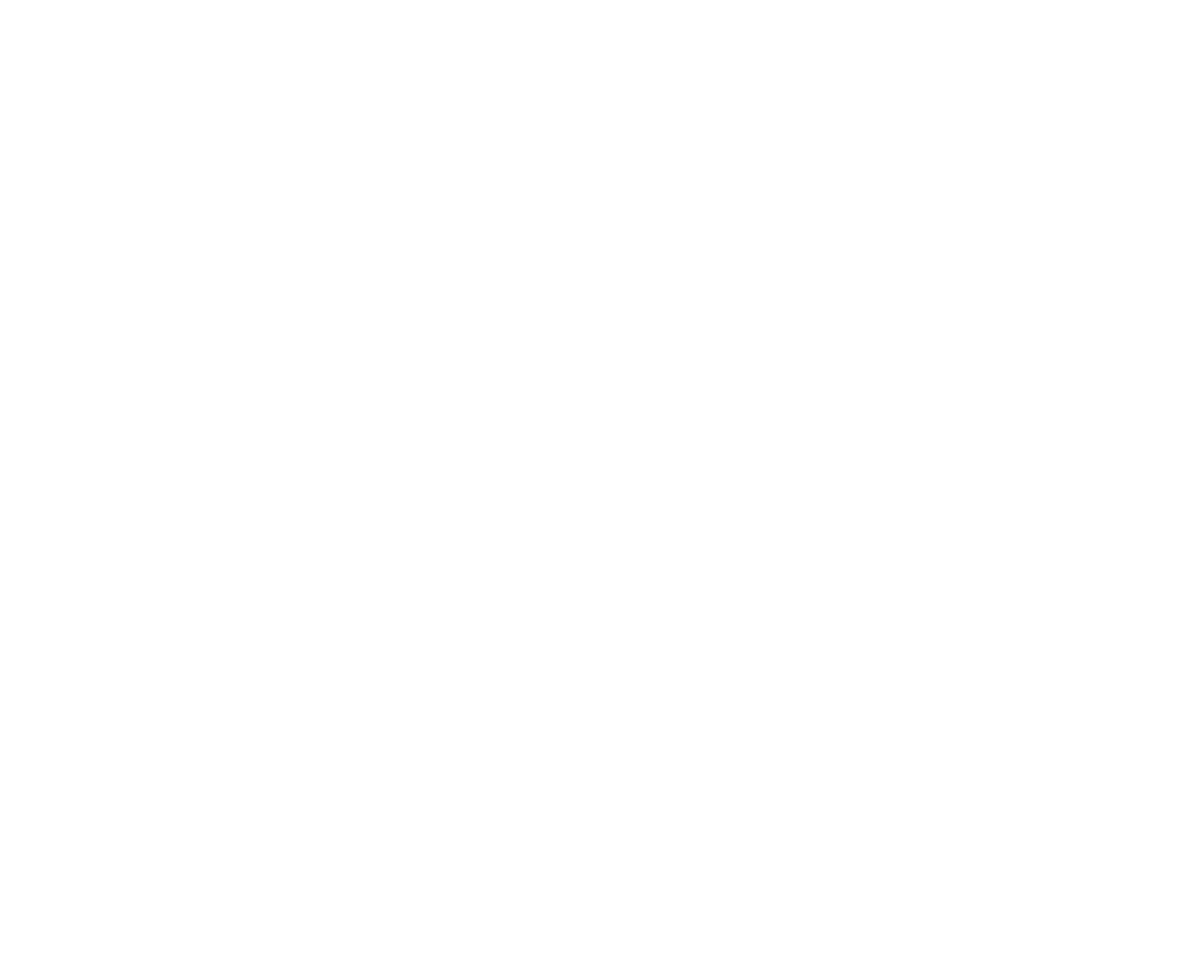 Leonardo Zidane - New Burger King logo