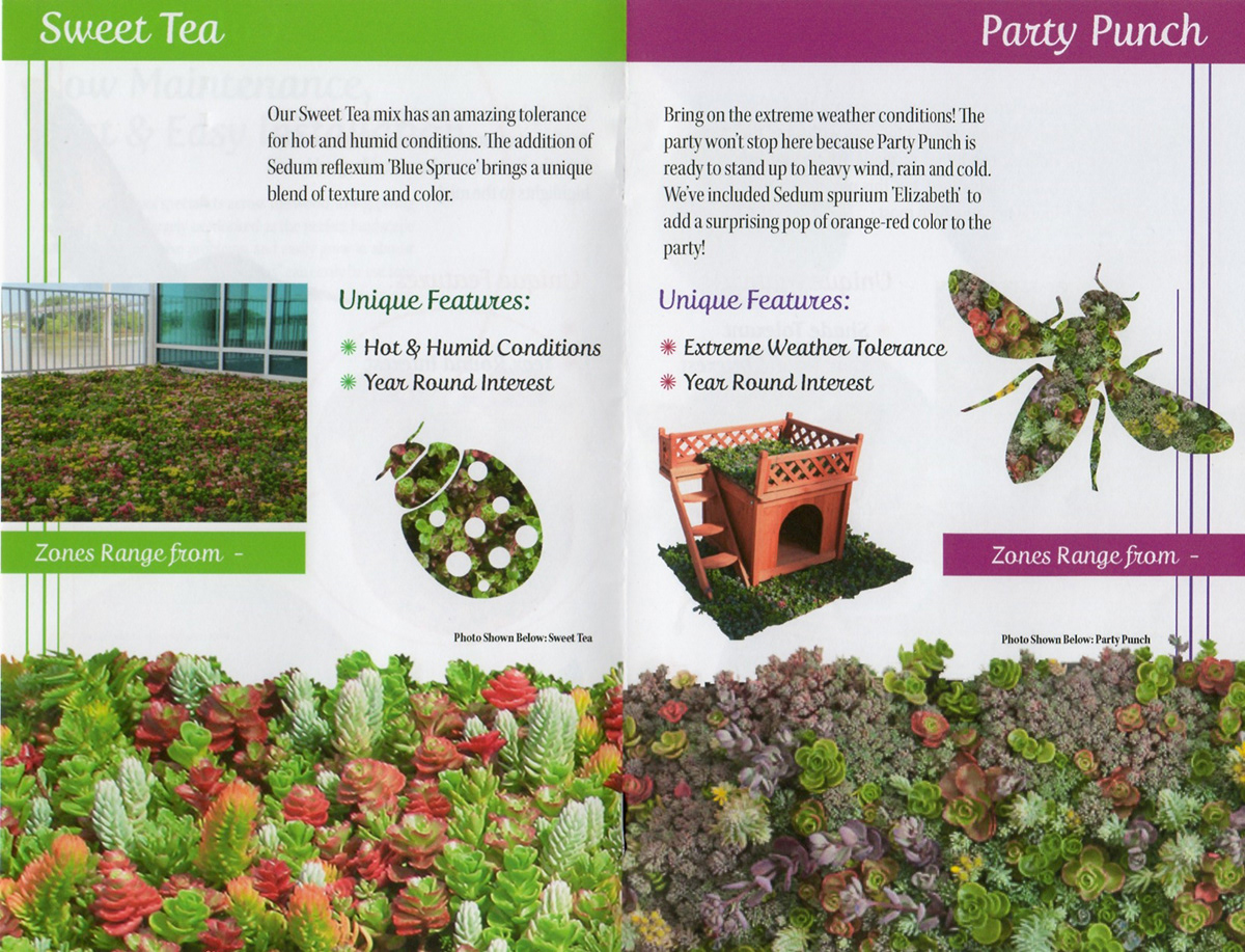 Rebecque Asher Graphic Design and Illustration - Horticultural Brochure ...