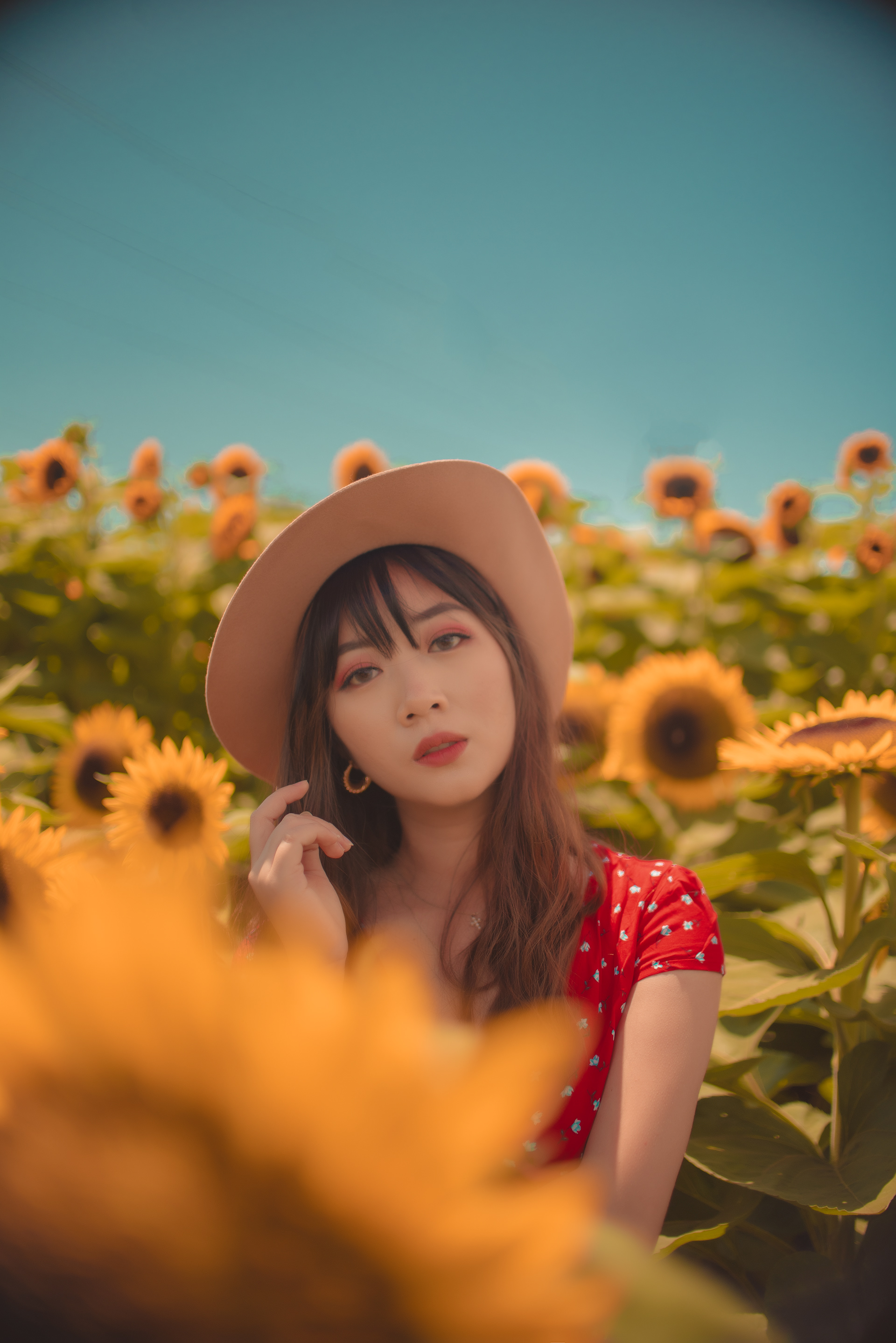 Khang Phan - SUNFLOWER - JAMIE