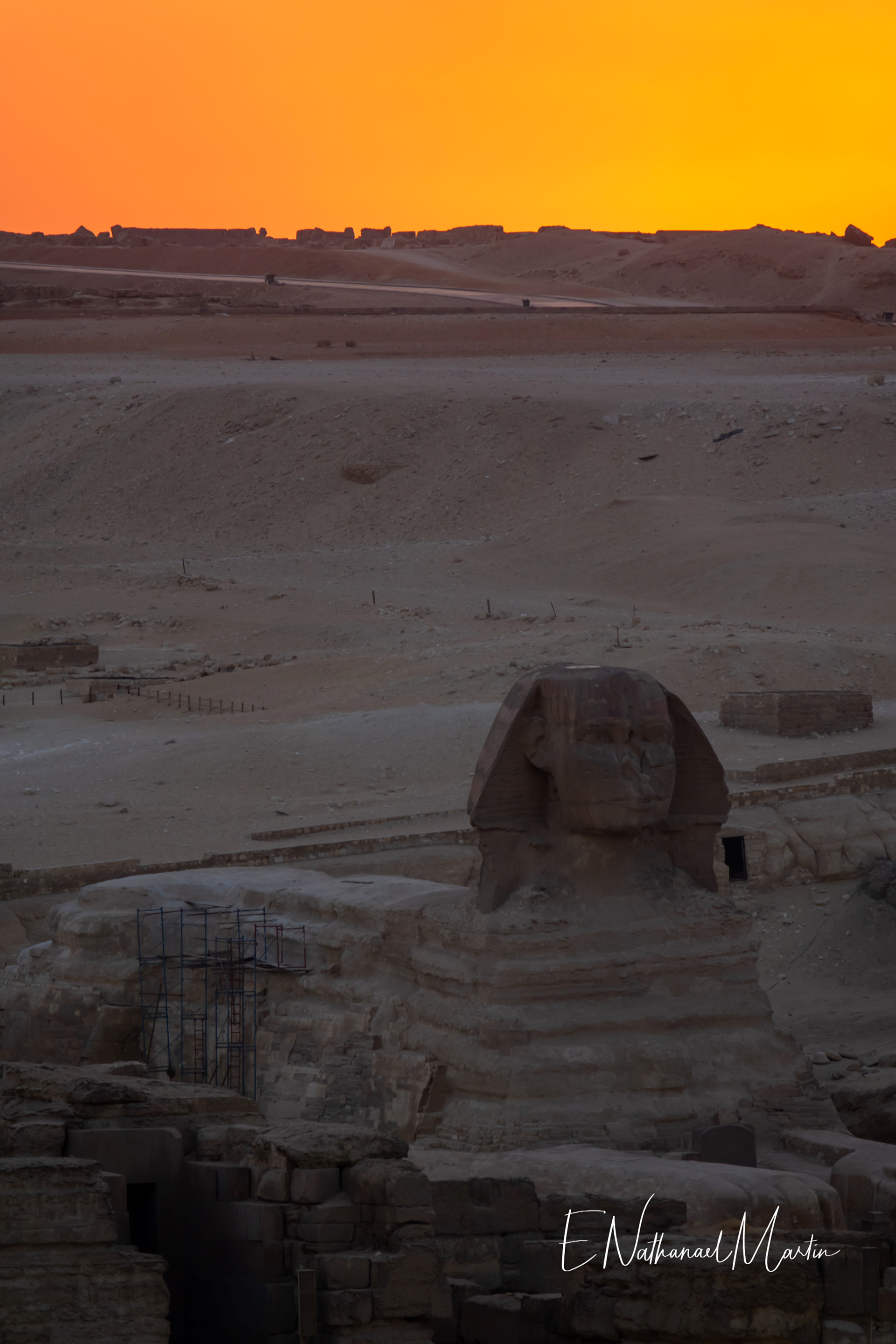 Nature by Nat Photography - Egypt