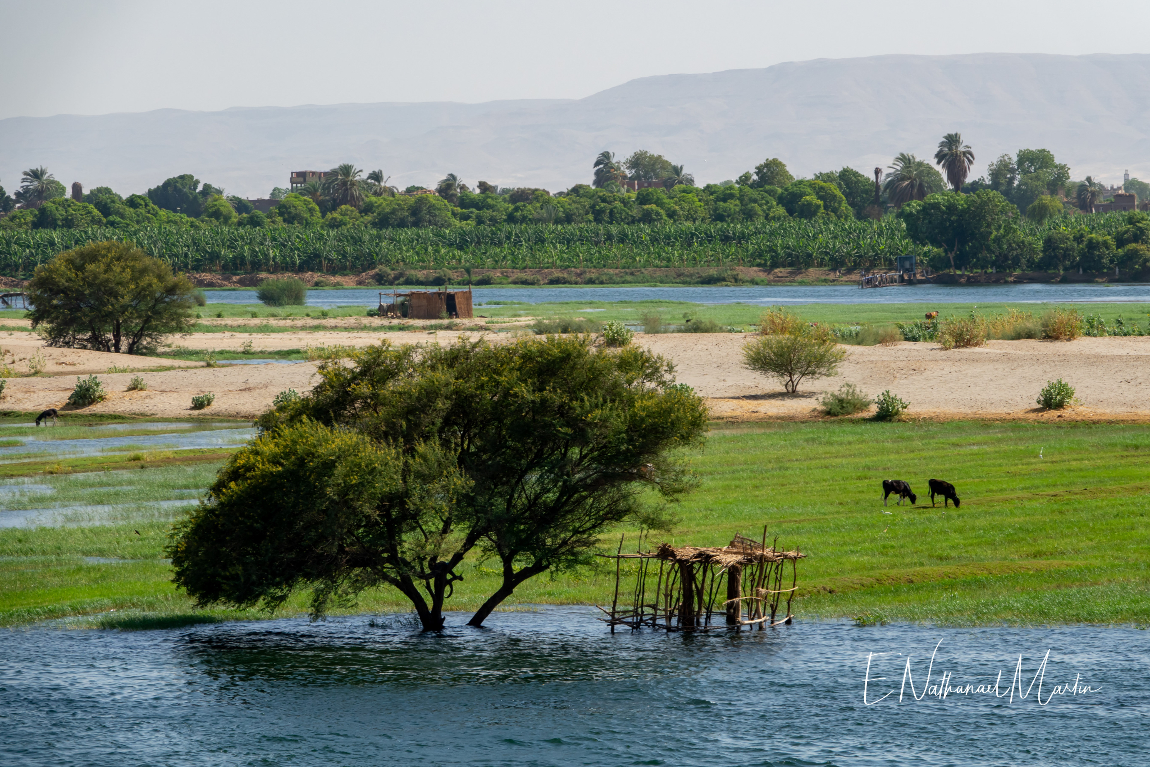 Nature by Nat Photography - Egypt