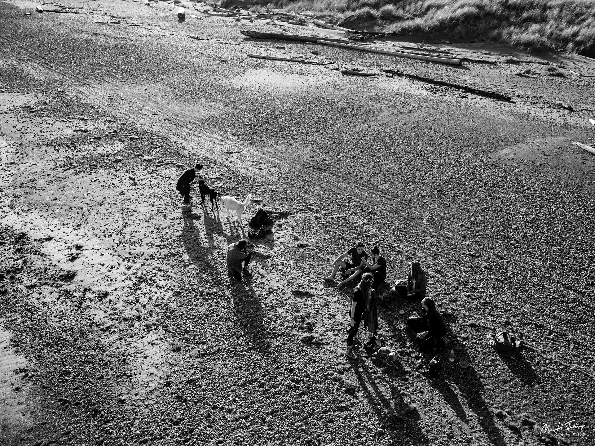 Max Foley / artist advocate. cultural accelerator. - Aventures