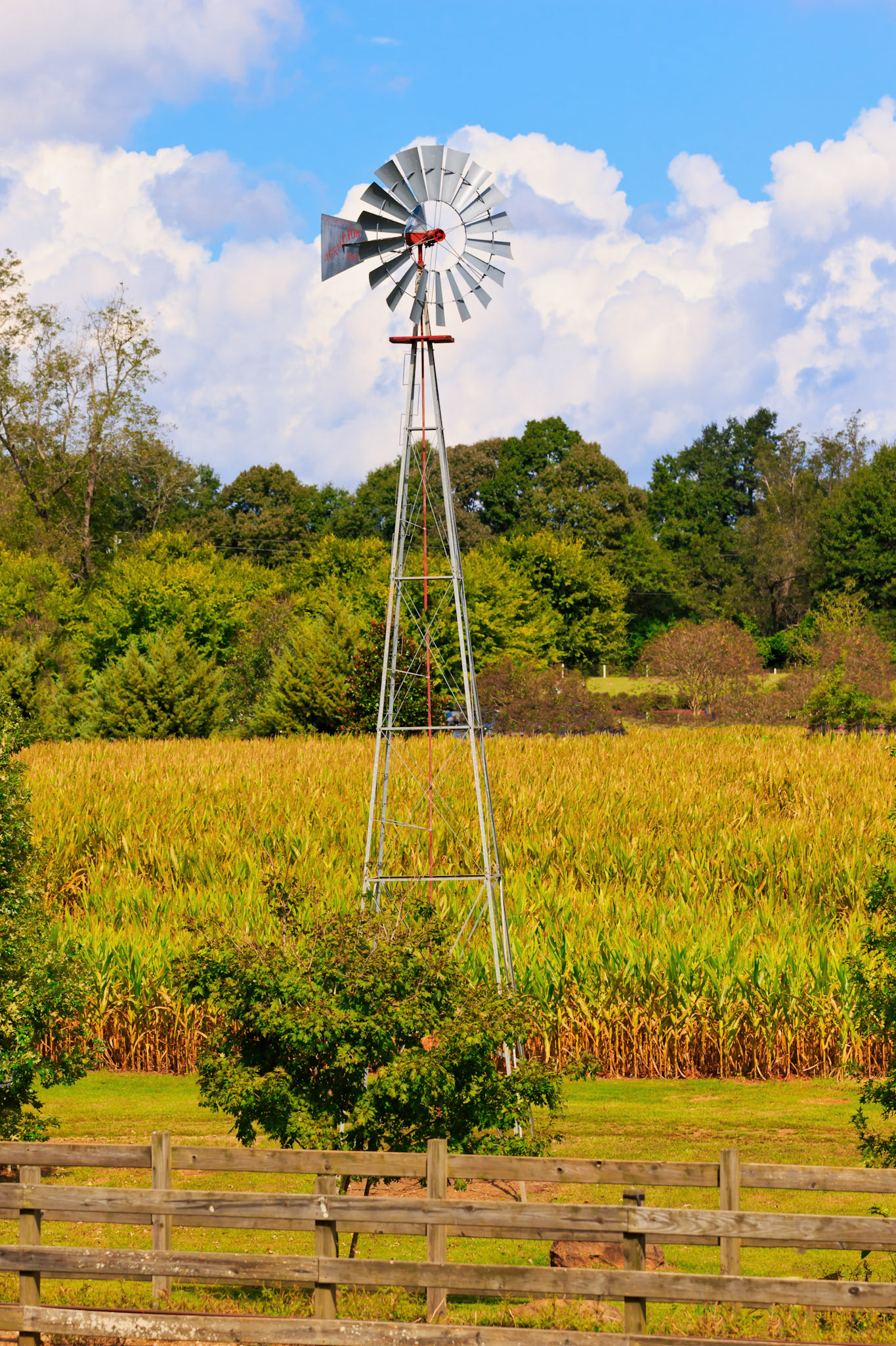 Lyle Dorman - Forest/Fields/Meadows