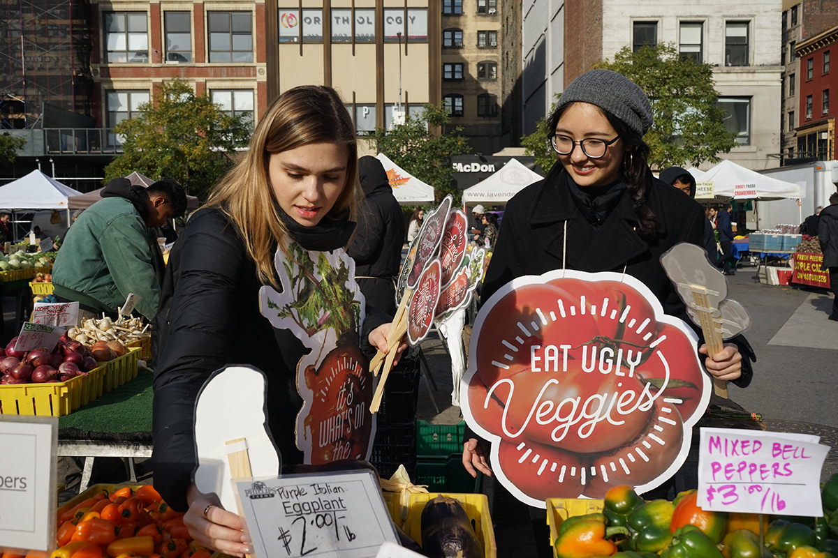 Jennifer Holcomb - FUN THINGS