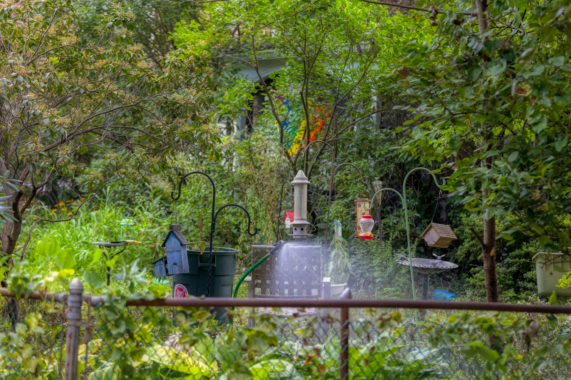 Vladimir Brook - Radburn park