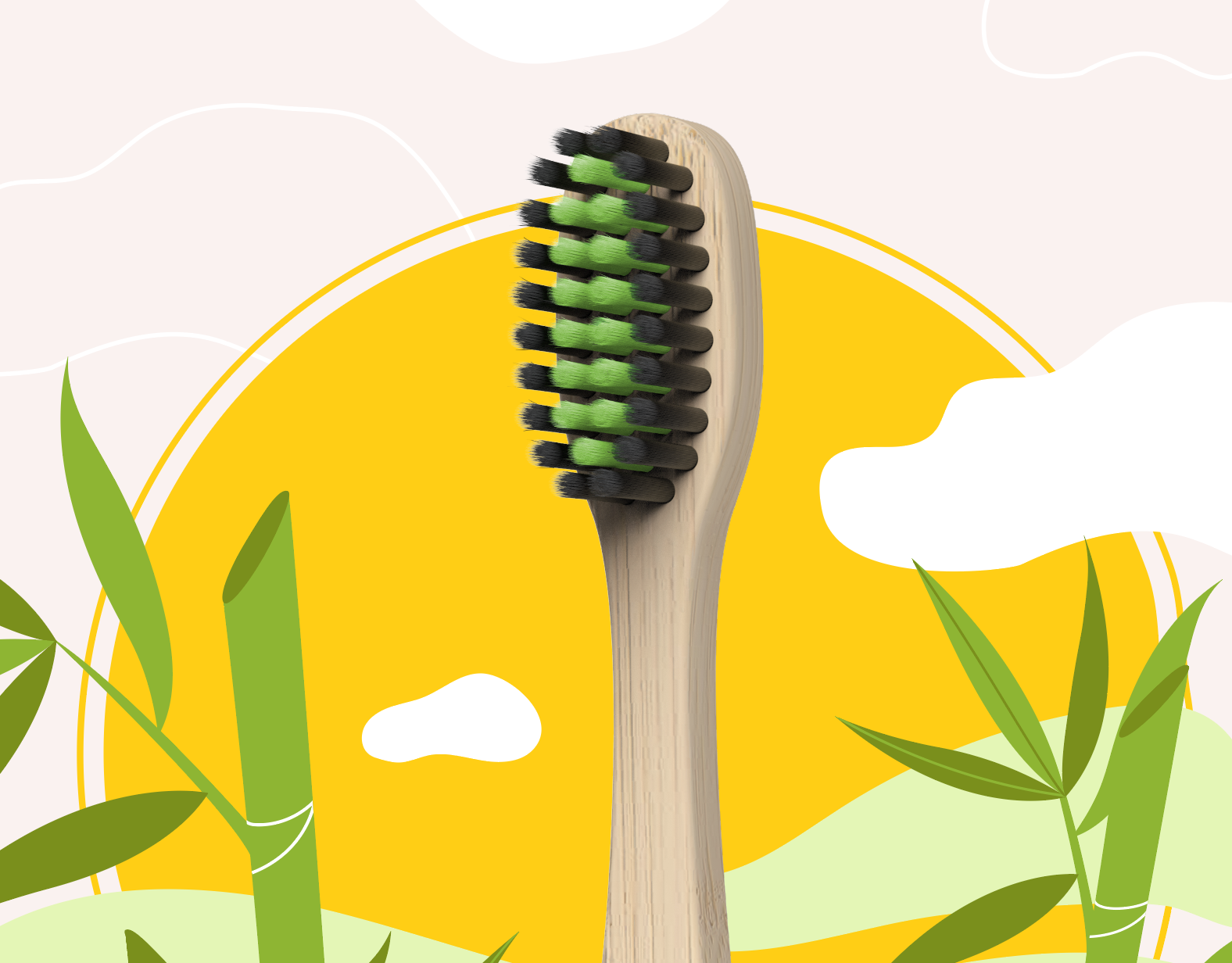 Cassandra Leigh Studio - COLGATE BAMBOO | Illustrated Animation