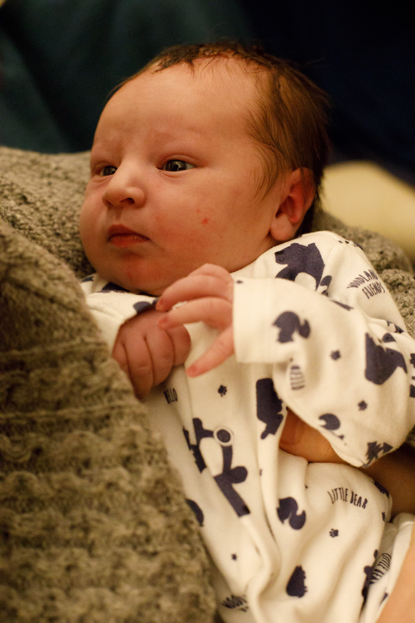 Pete Birrell - Emily