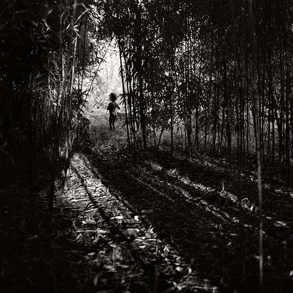 alain laboile - La Famille