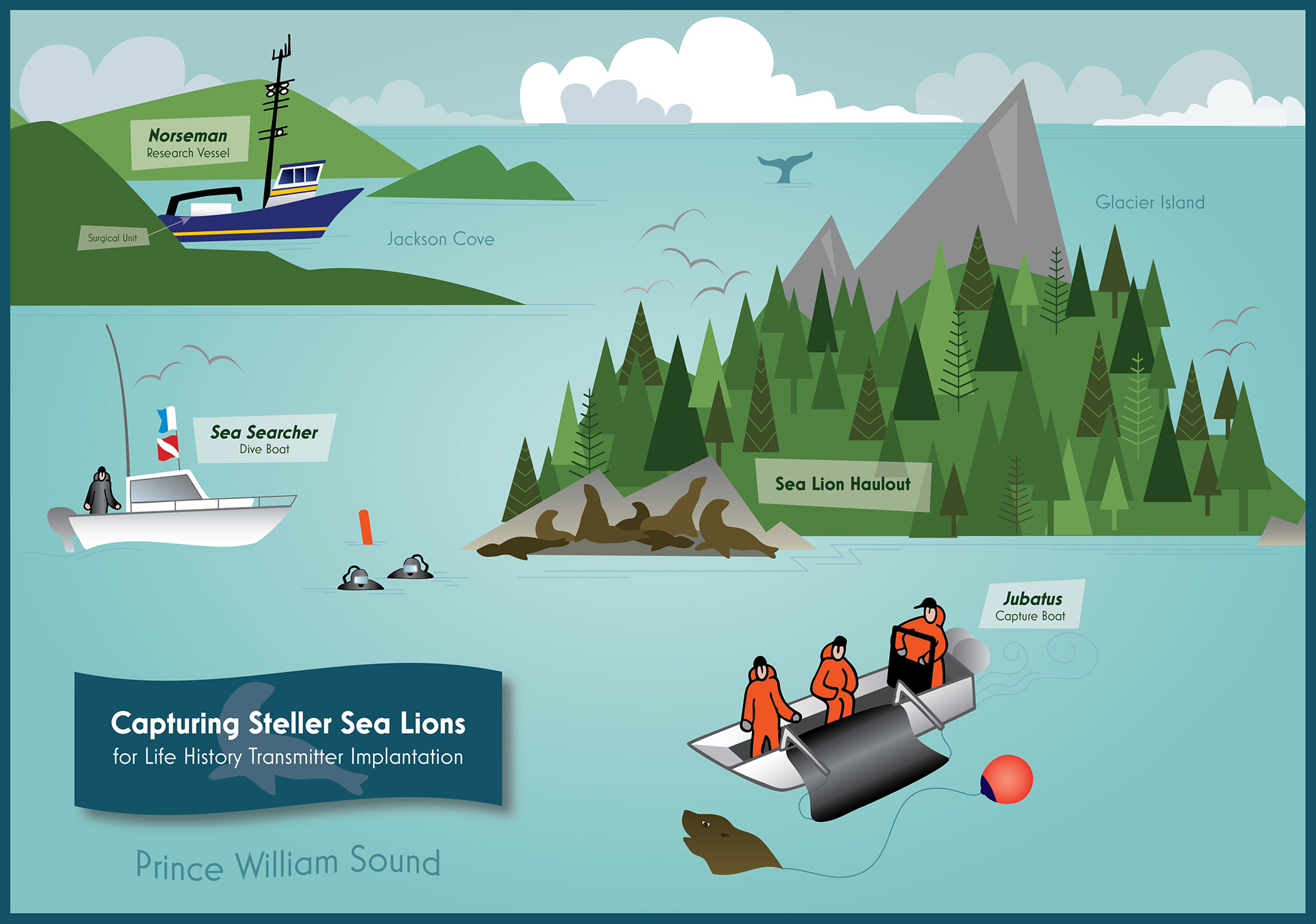 TerraGraphica – the design studio of Eric Cline - Capturing Steller Sea ...