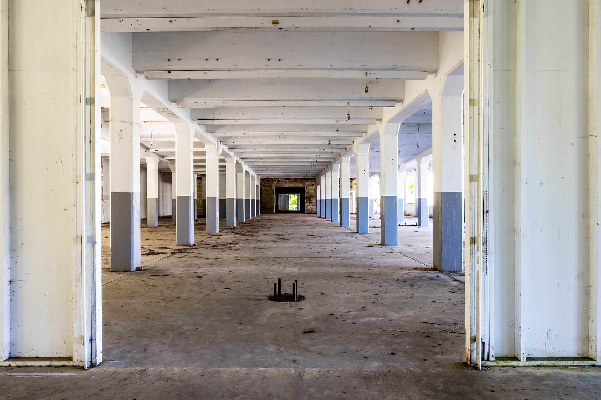 Ray Humphreys - Olympia