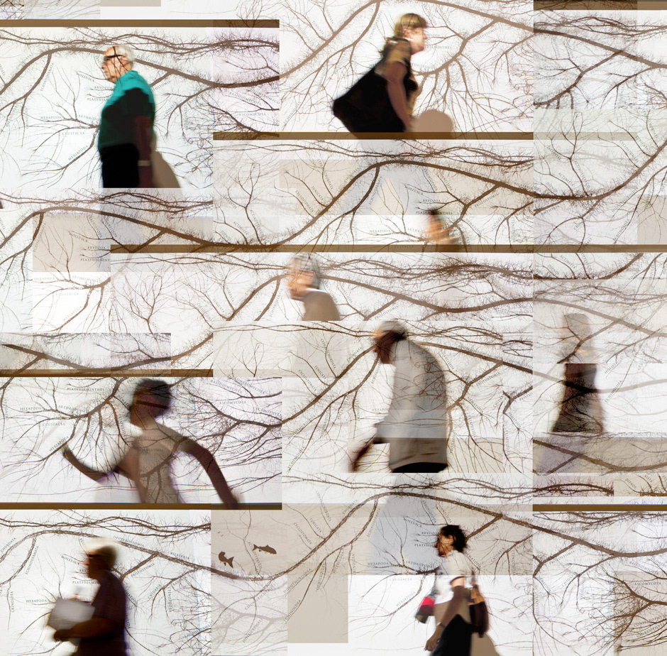 mario rossi - overlays