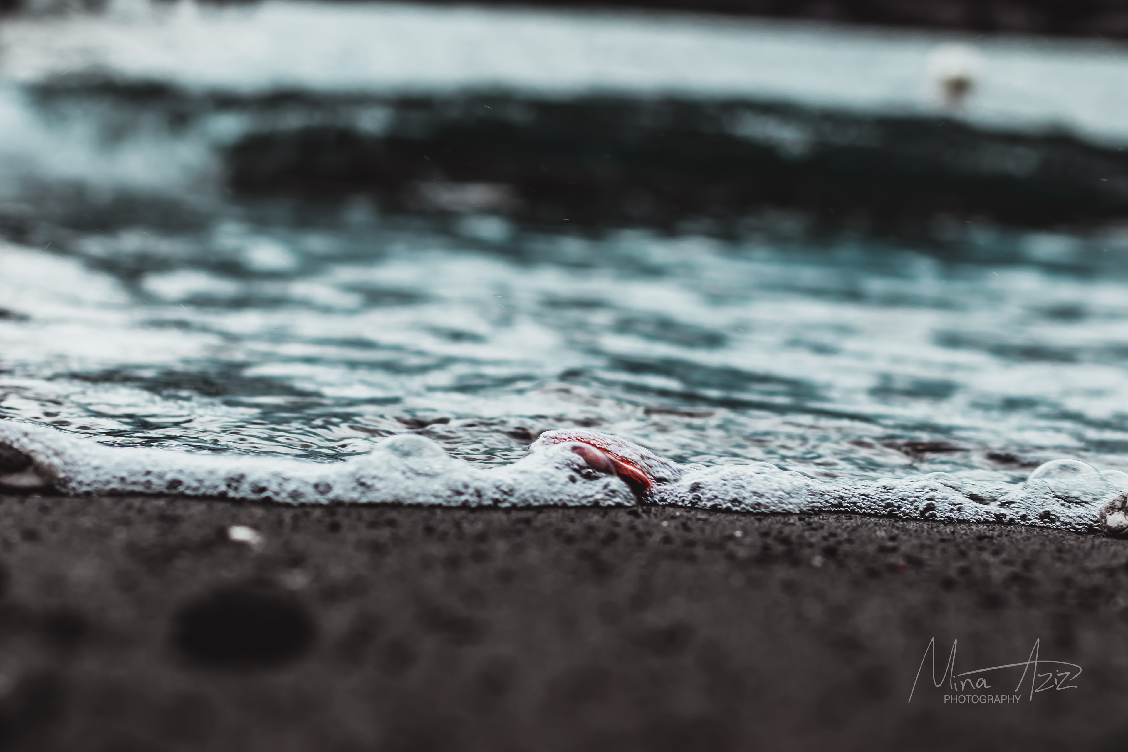 Mina Aziz - PHOTOGAPHY