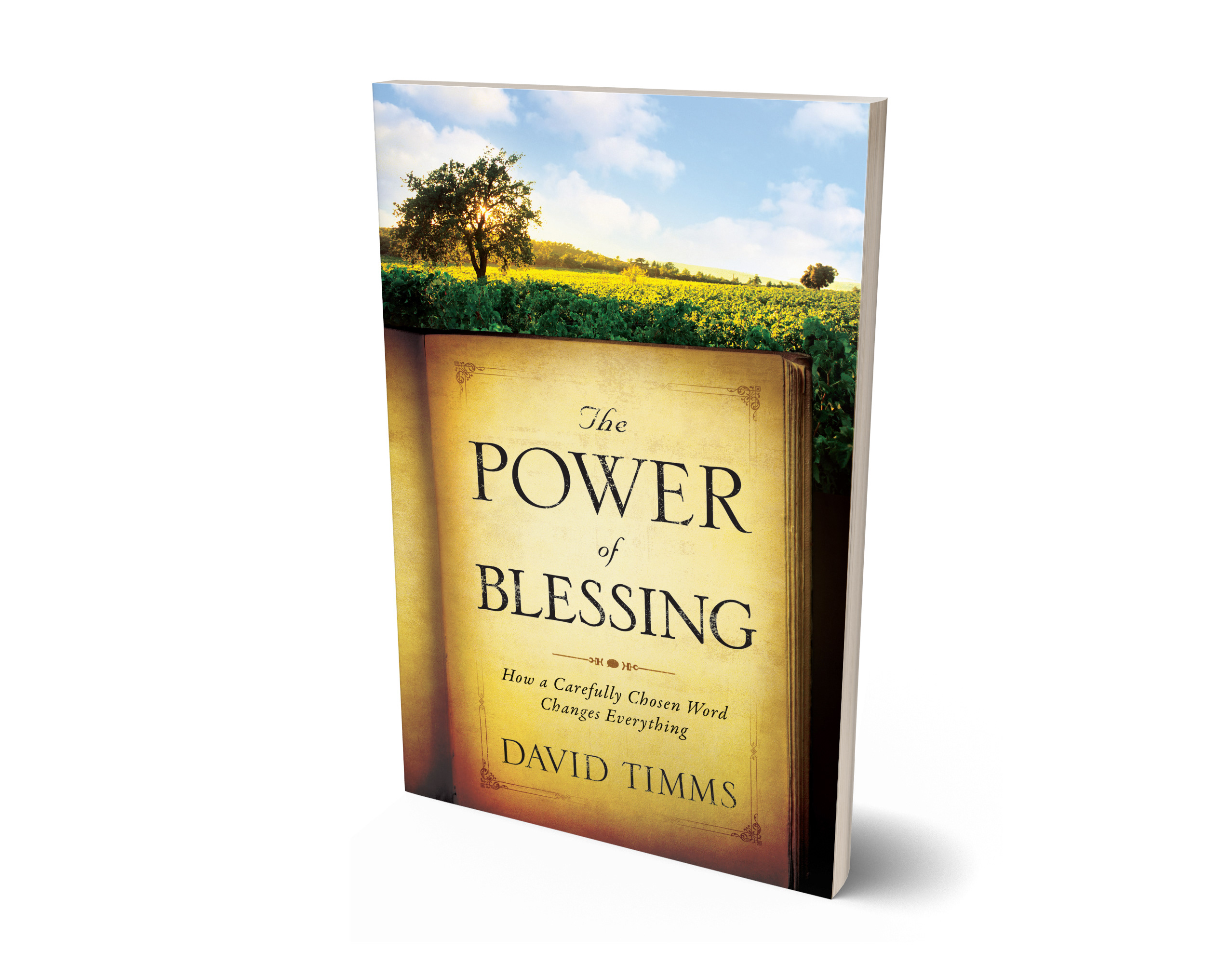 Dan Pitts - POWER OF BLESSING