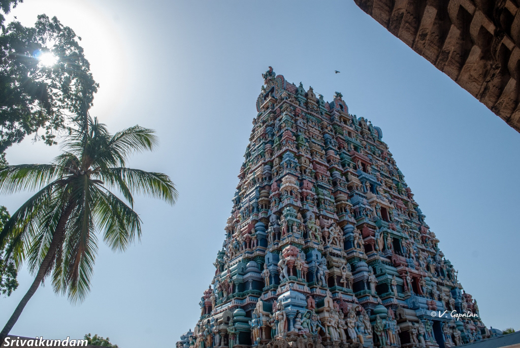 Venkataramanan Gopalan - Temple Gopurams (Towers)