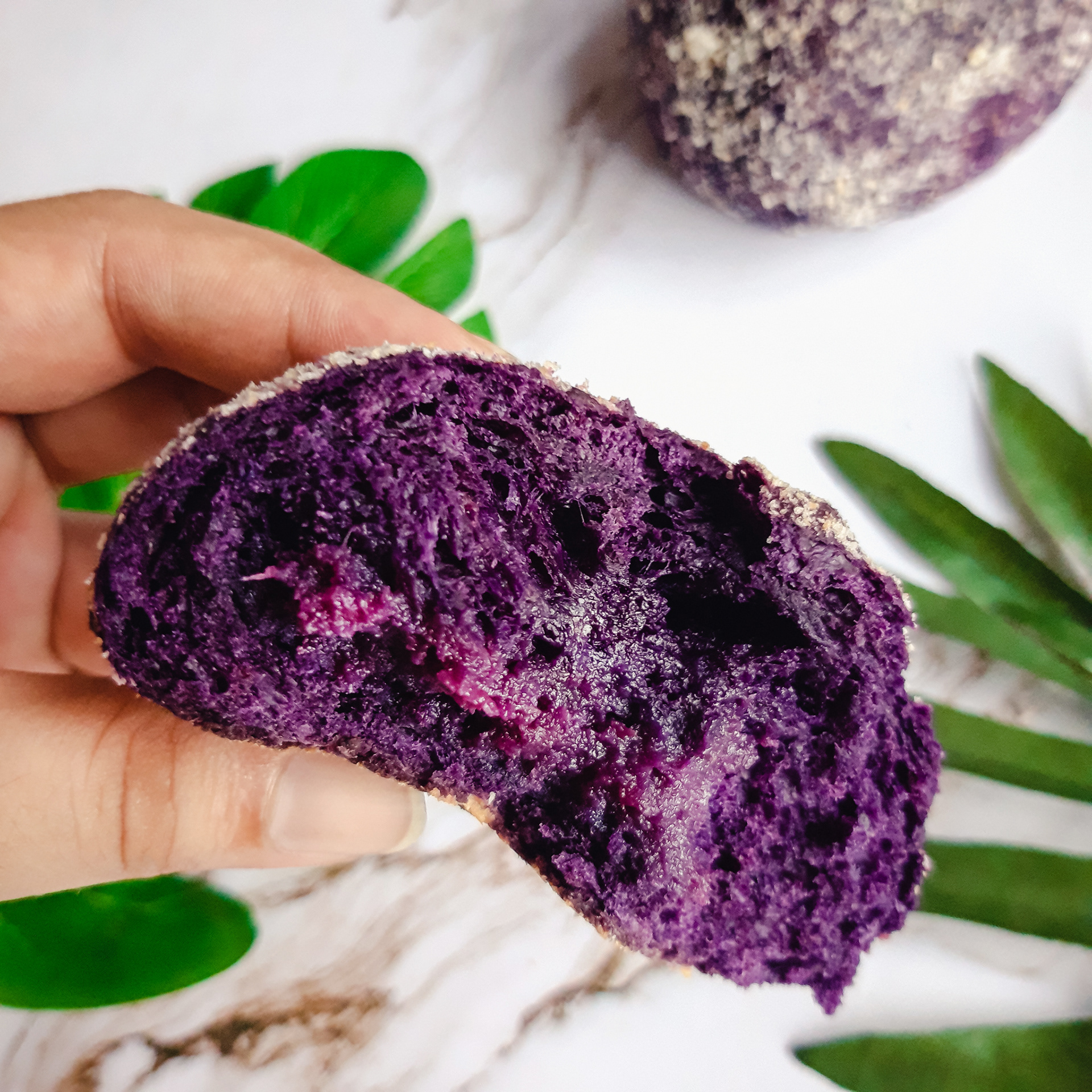 chrisseecasas - Big Purple Bakery