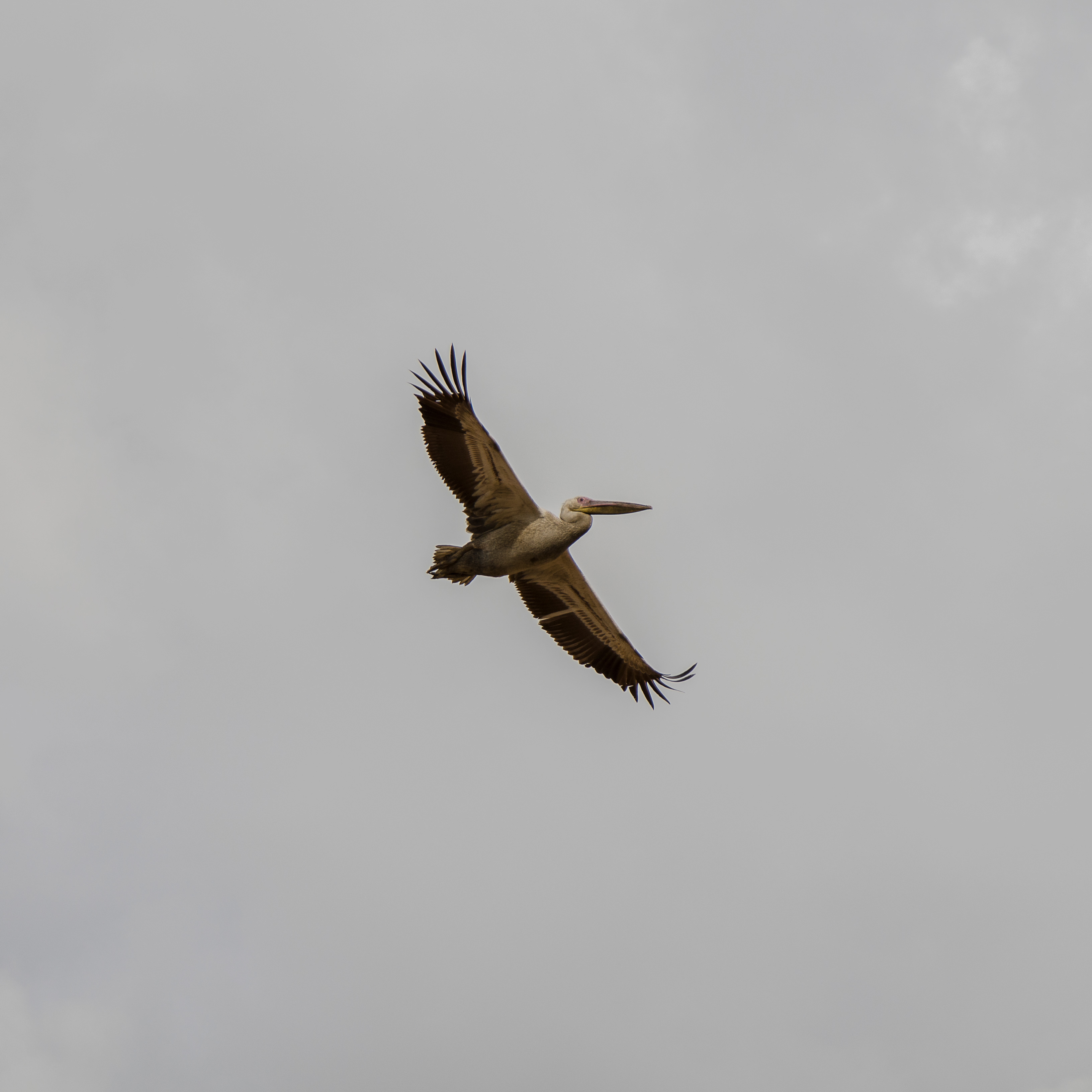 Paul Stander - International Exhibitions