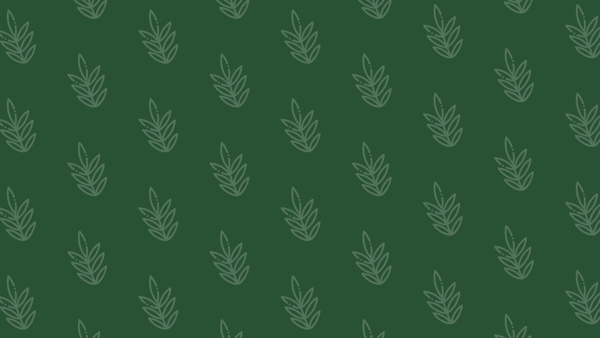 Reformation Brand Guidelines - Creation