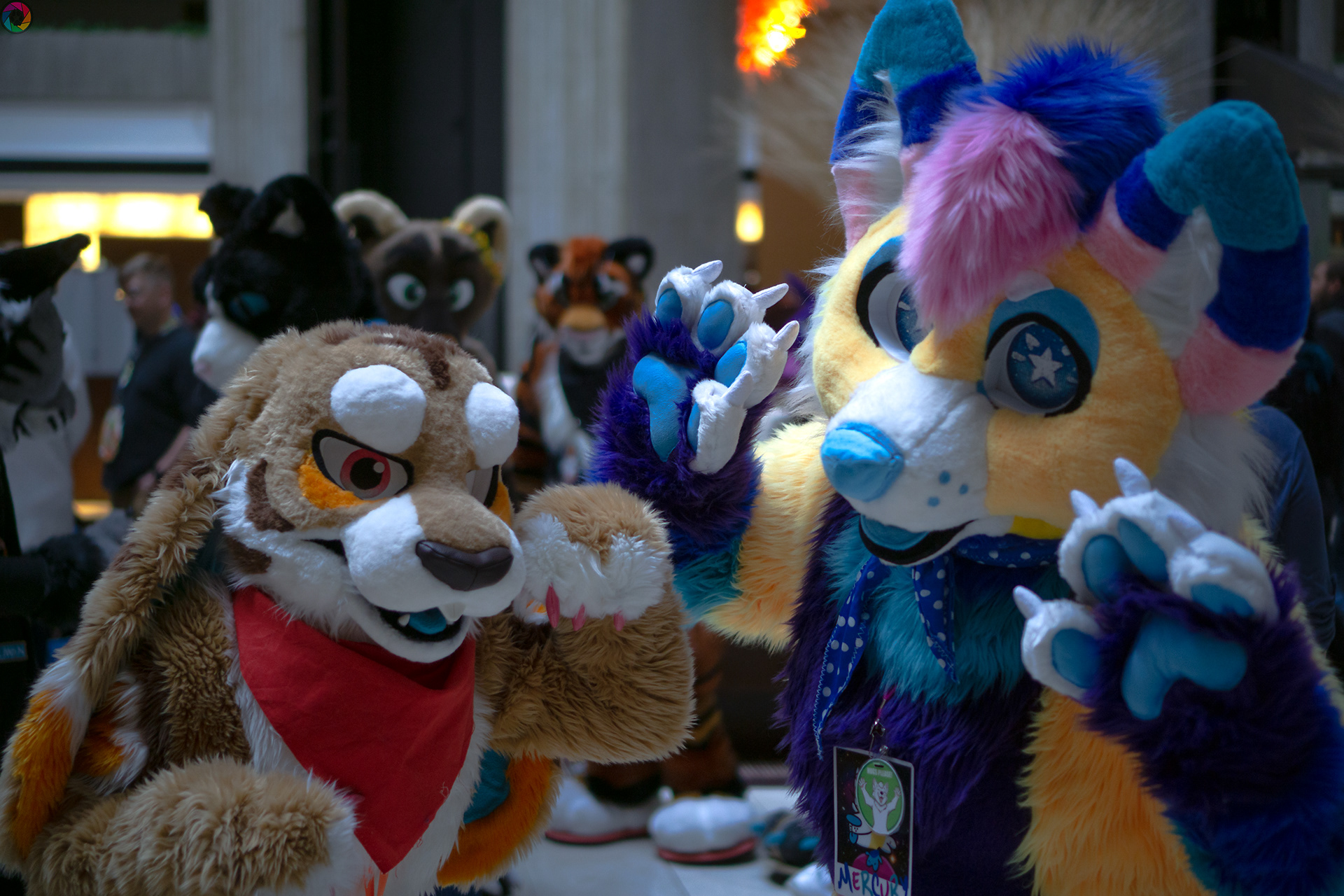 TJ Wagner - Midwest FurFest 2018